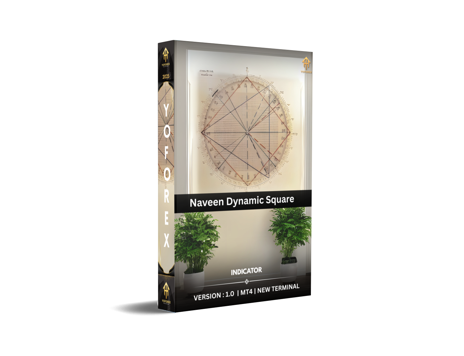 Introduction to the Naveen Dynamic Square INDICATOR V1.0 MT4 - FREE ...