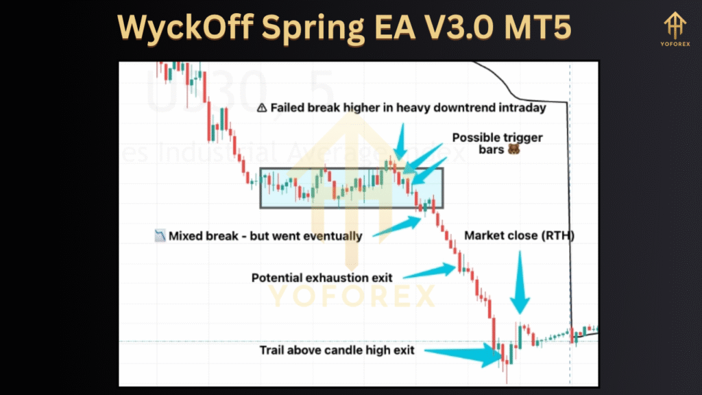 WyckOff Spring EA V3.0 MT5 - FREE DOWNLOAD